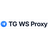 TG WS Proxy download | SourceForge.net