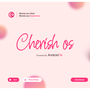 CherishOS-Avicii download | SourceForge.net