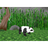 Panda3D-Project-Collection download | SourceForge.net