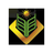 SAEL BIOMASS PROJECT download | SourceForge.net