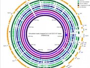 BLAST Ring Image Generator download | SourceForge.net