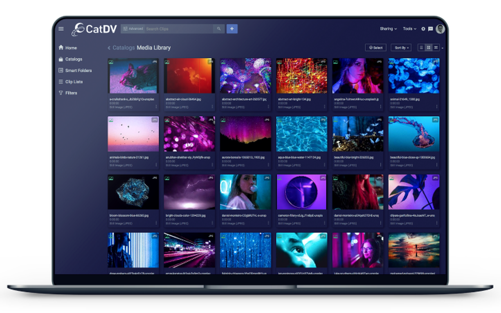 CatDV Reviews in 2025