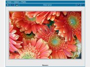 Coppermine Photo Gallery download | SourceForge.net