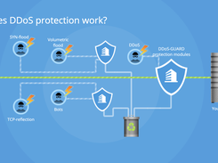 DDoS-GUARD Reviews in 2025