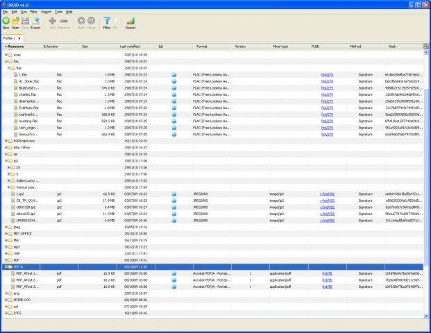 droid digital preservation