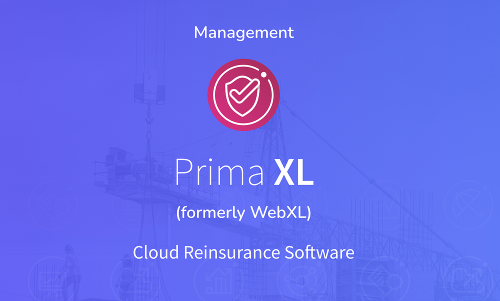 Prima XL Reviews in 2026