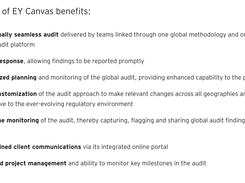 EY Canvas Reviews - 2025