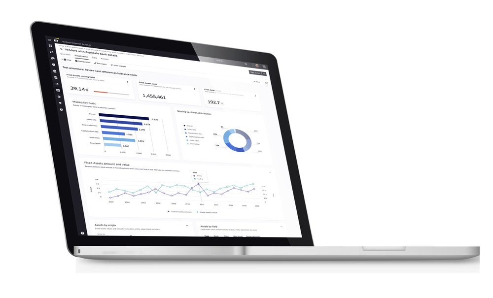 EY Virtual Internal Auditor Reviews - 2025