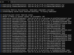 Fansly Downloader download | SourceForge.net