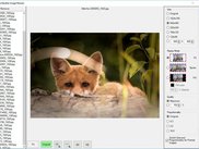 Flexxi - Batch Image Resizer download | SourceForge.net