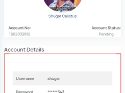 Download Beautiful Online Banking Script download | SourceForge.net