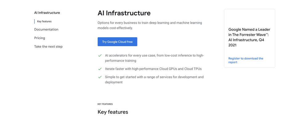 Google Cloud AI Infrastructure Reviews in 2025