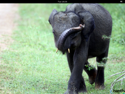 Hanthana Linux Project download | SourceForge.net