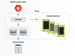 Joe Sandbox Reviews - 2025