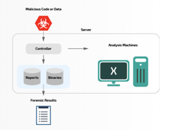 Joe Sandbox Reviews - 2025