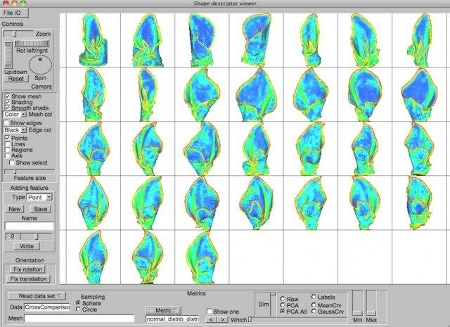 Manifold mesh processing download | SourceForge.net