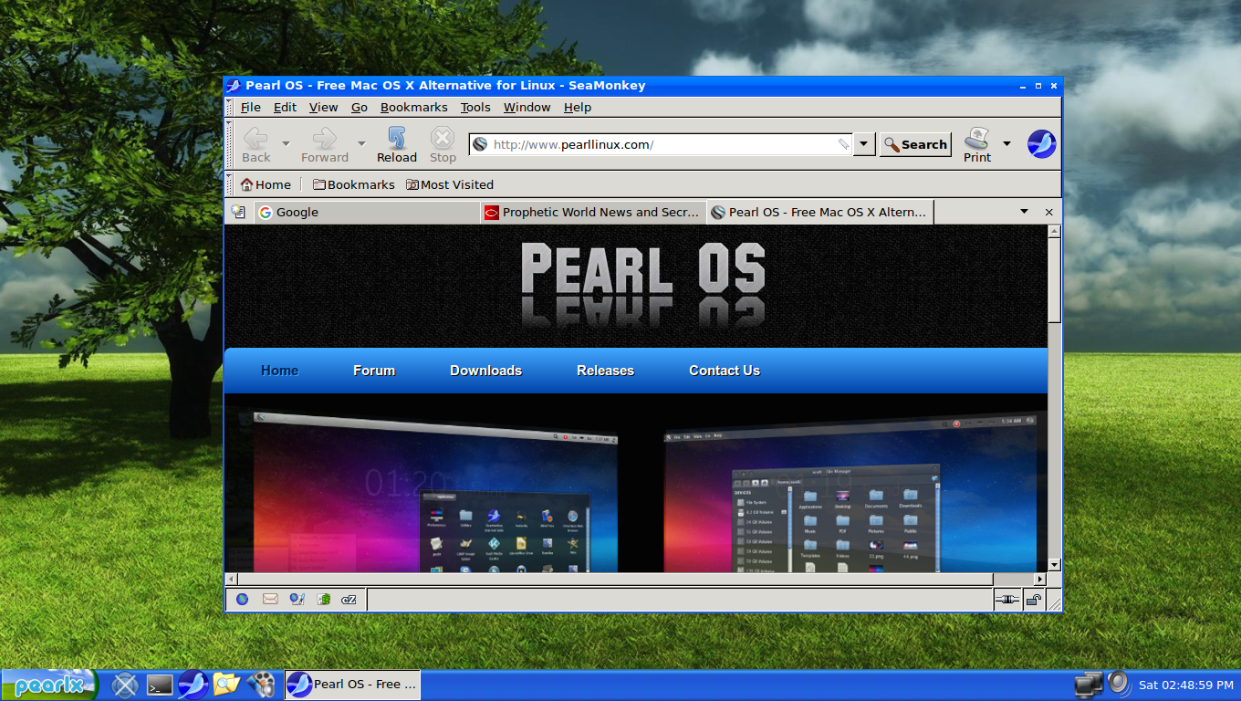 Pearl Linux OS 4.0 download | SourceForge.net
