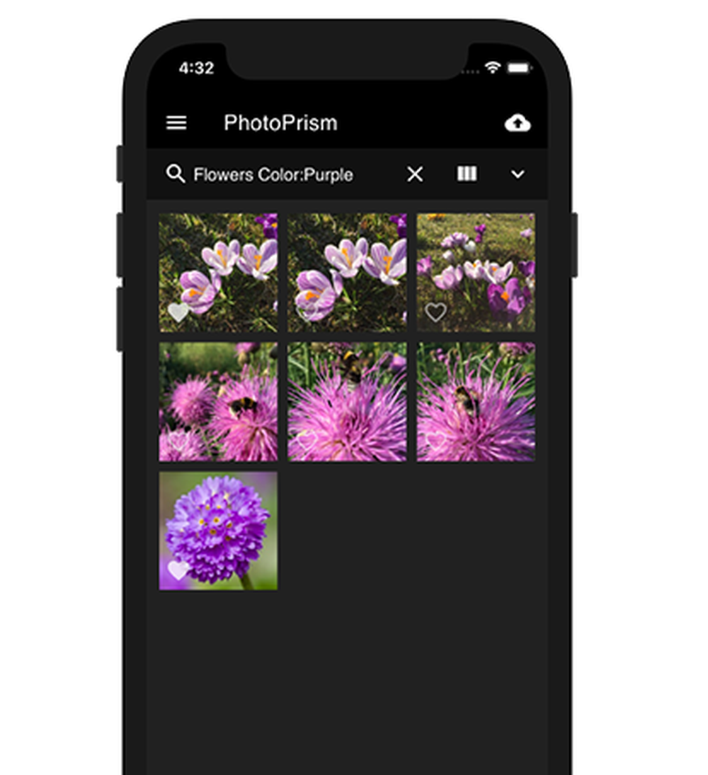 PhotoPrism Reviews in 2025