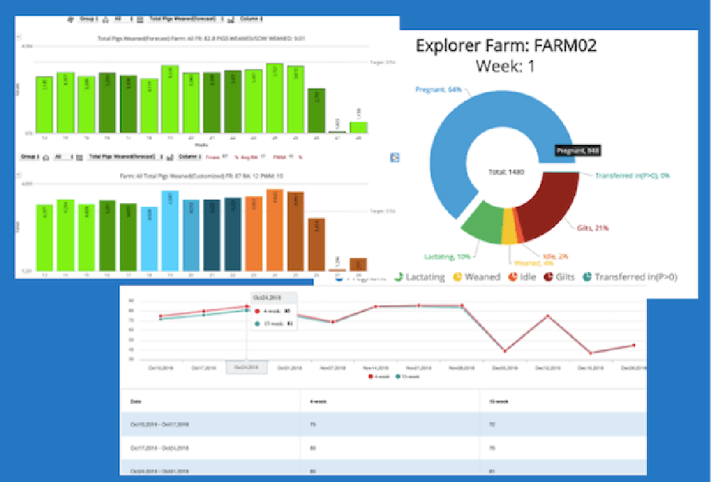 PigKnows Reviews in 2025