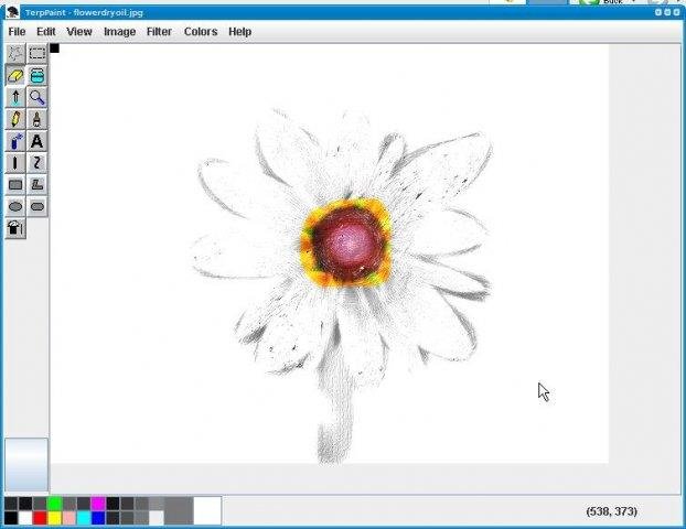 how to draw a flower in java applet