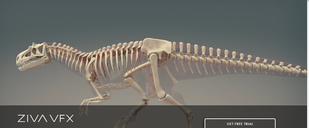 Ziva VFX Reviews - 2025